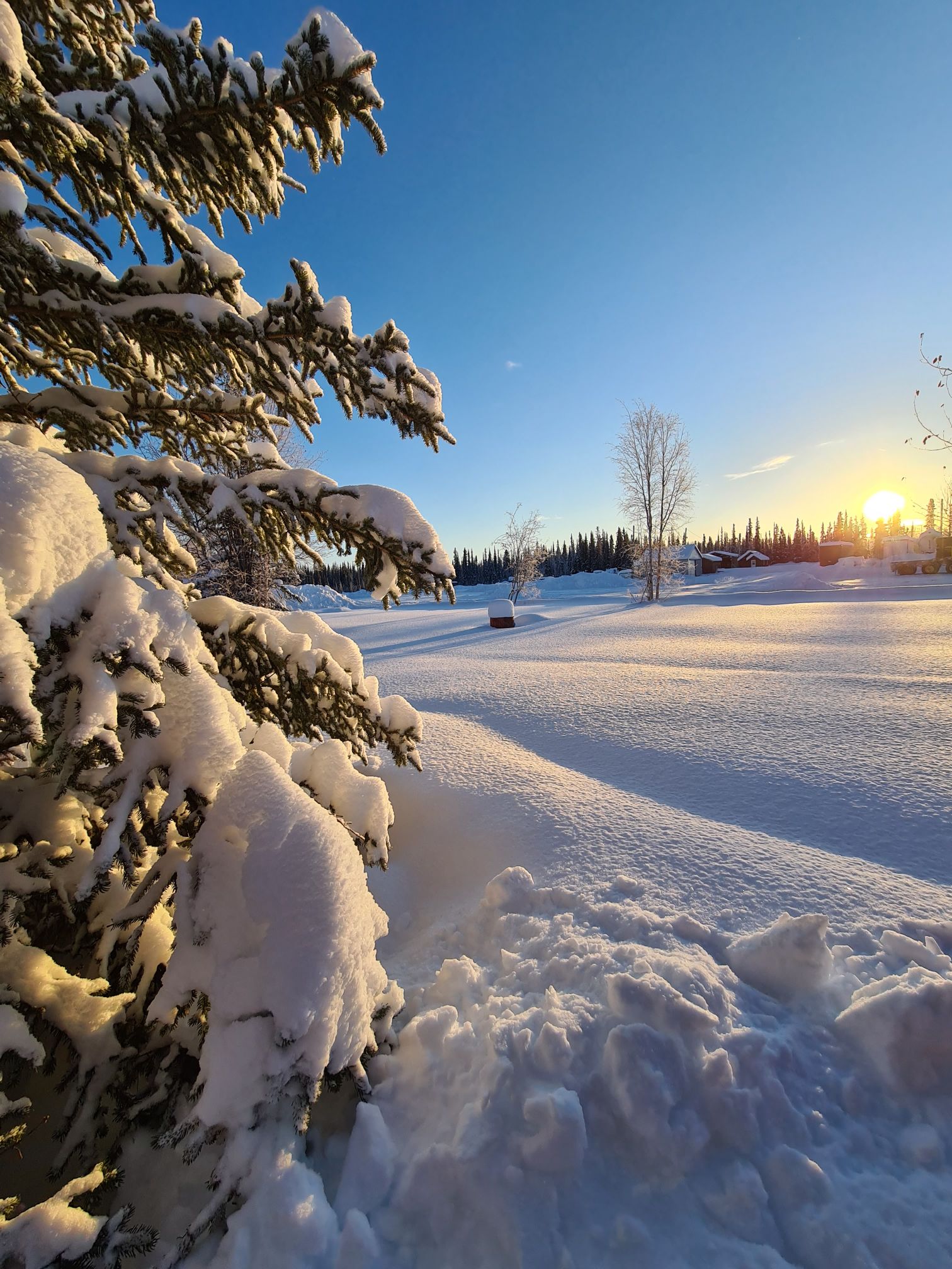 My first winter in the yukon