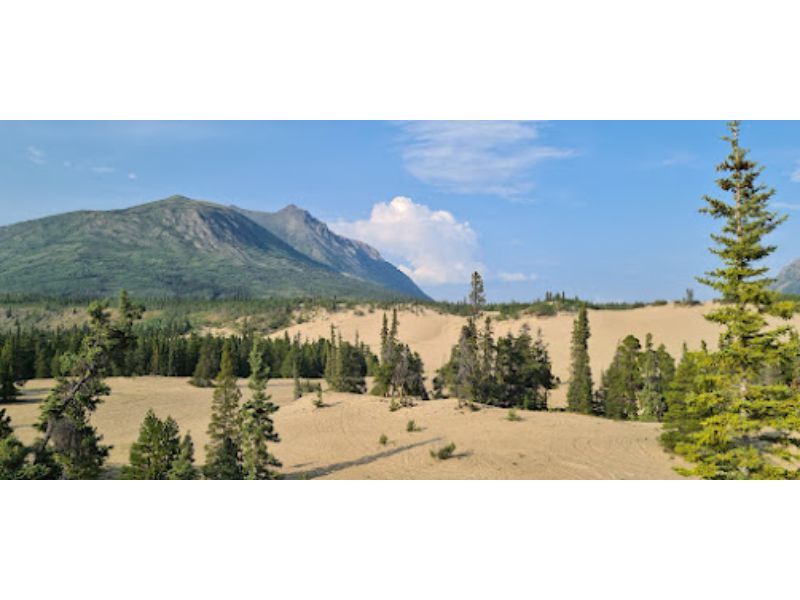Breathtaking reasons you need to make Carcross your next adventure